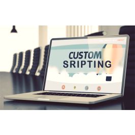 Custom Scripting Technical Support